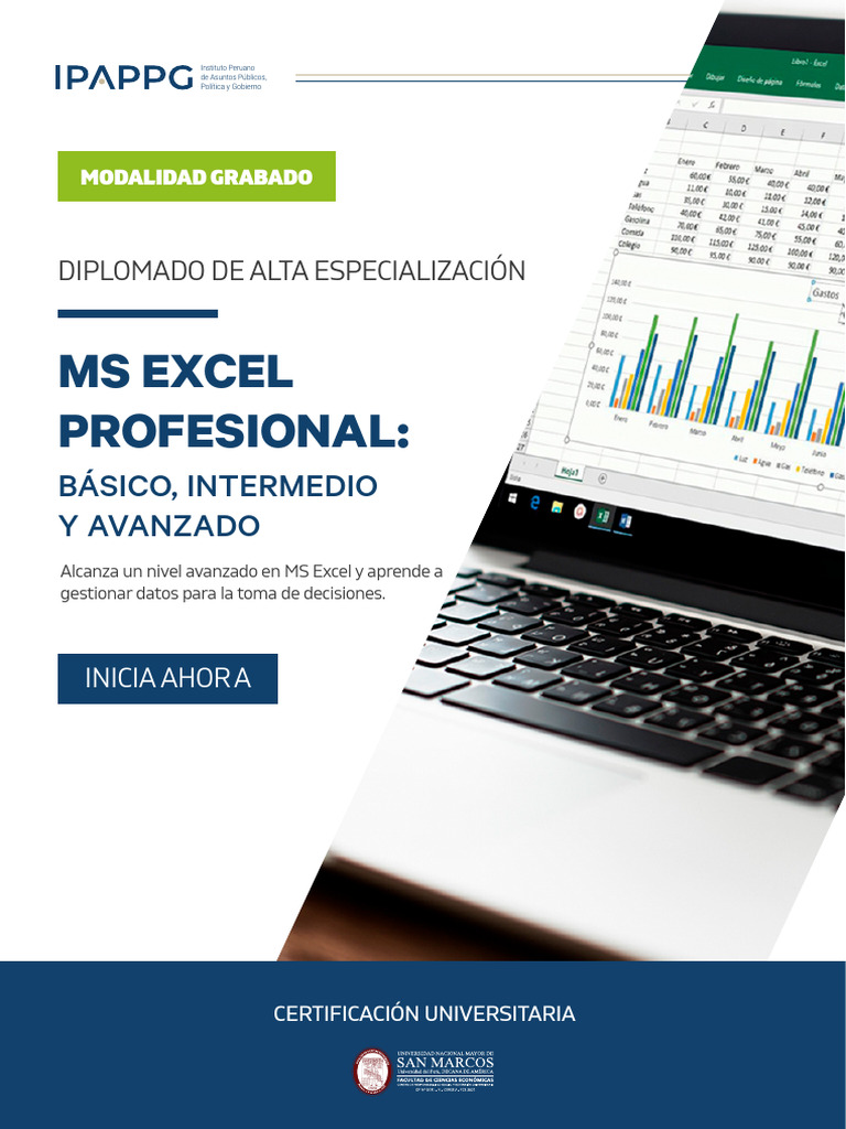 excel-profesional-2019 | PDF | Microsoft Excel | Macro (informática)