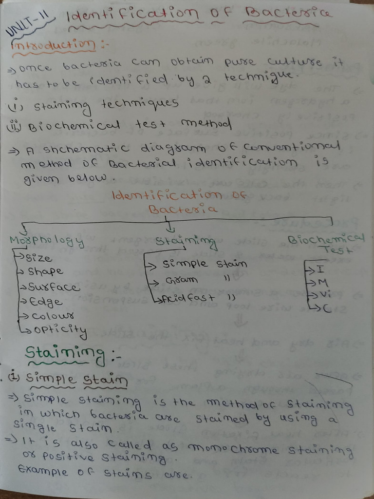 Unit 2 Bacteria Imvic | PDF | Chemical Compounds