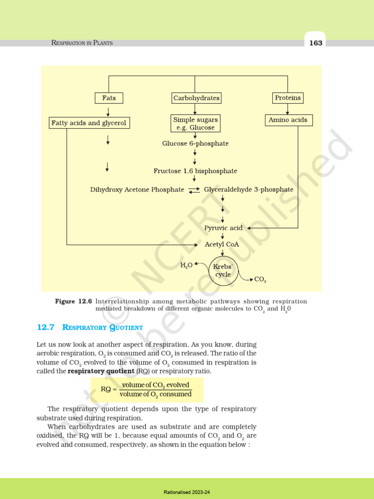 Respiration in Plants-11 | PDF | Science & Mathematics