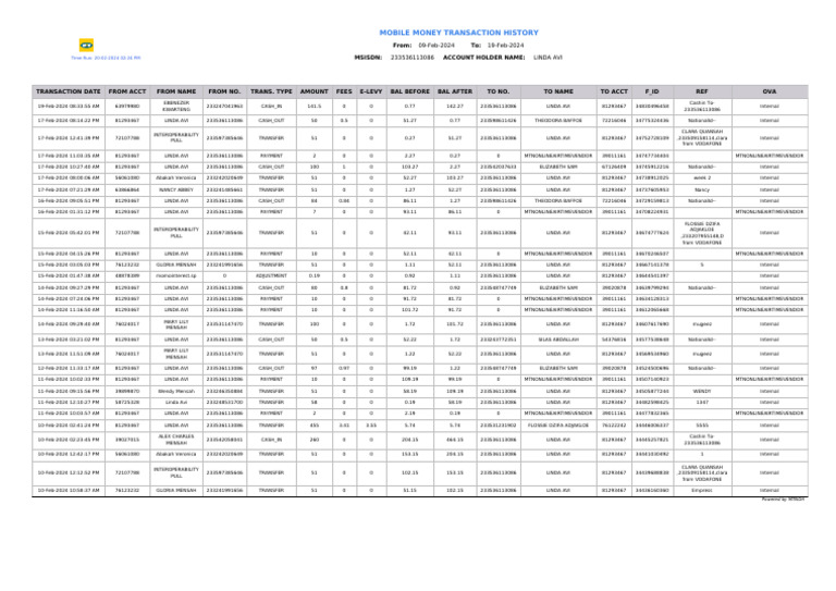 Momo Statement Report Pdf Banking Technology Payments
