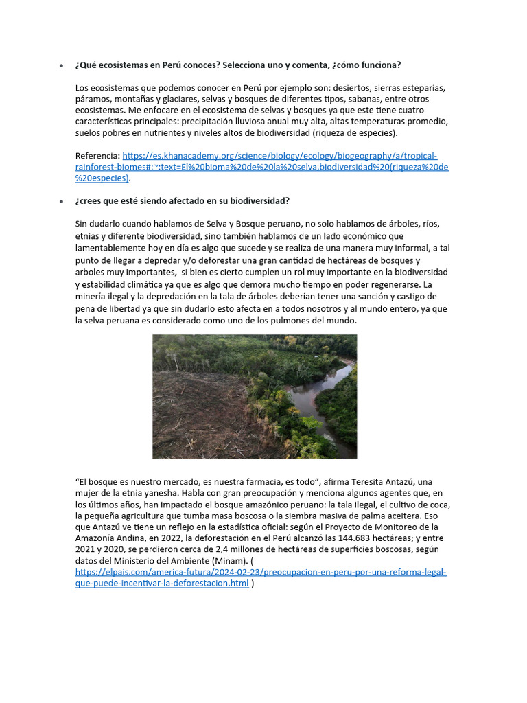 Qué Ecosistemas en Perú Conoces CURSO | PDF | Deforestación | Los bosques