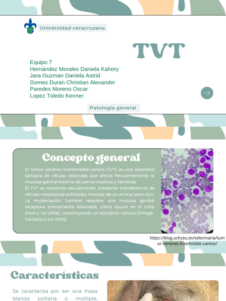 TVT y Lupus eritematoso | PDF | Quimioterapia | Biología