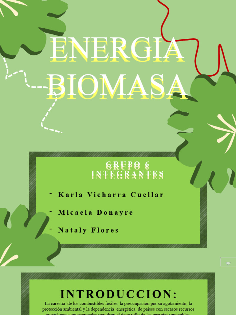Biomasa CT | PDF | Biomasa | Energía renovable