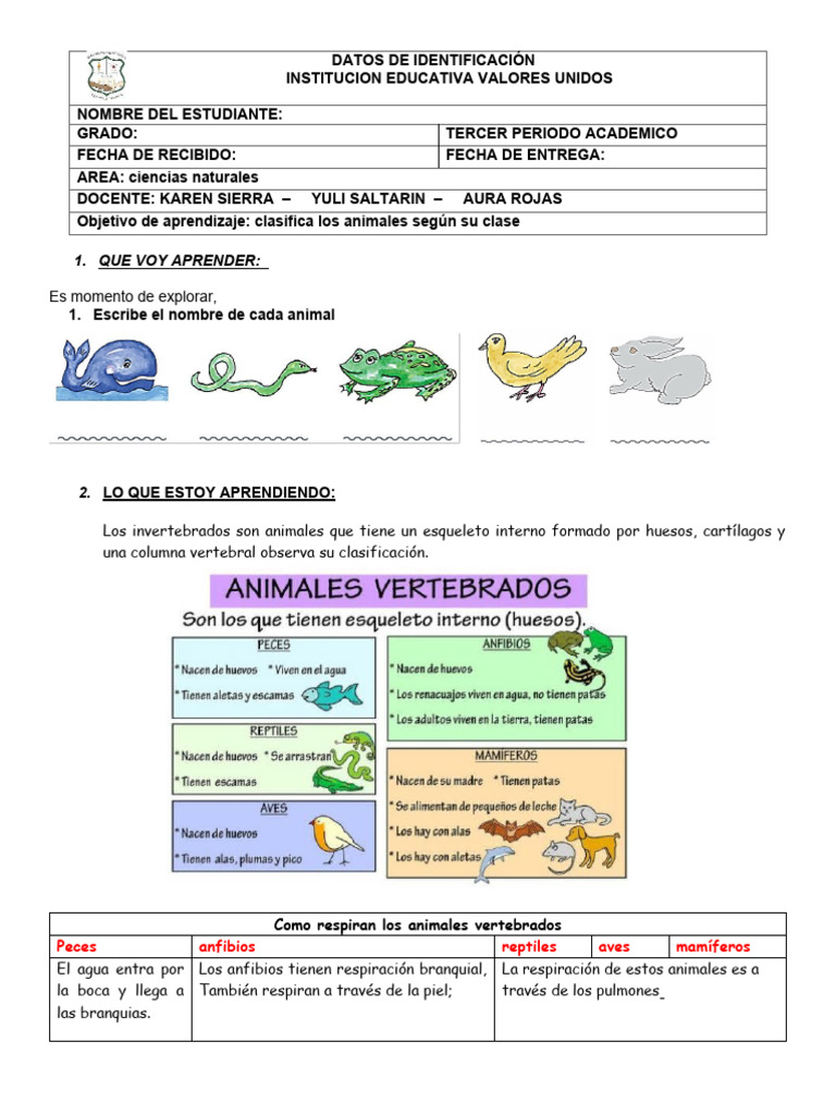 Animales Vertebrados | PDF