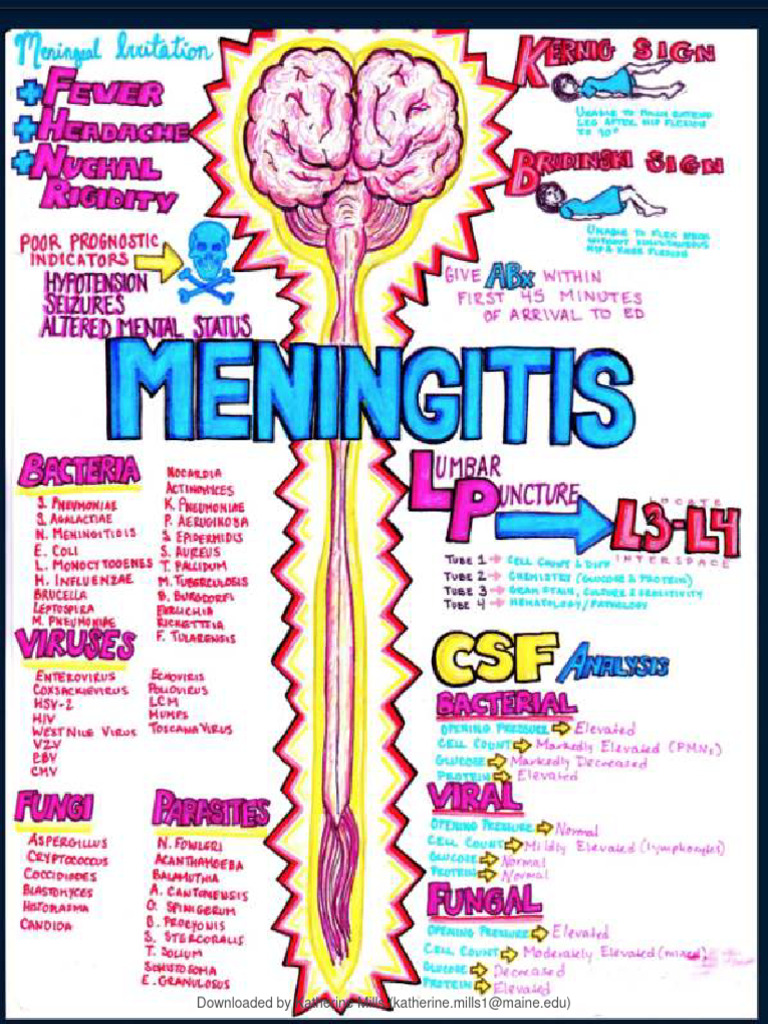 Meningitis | PDF