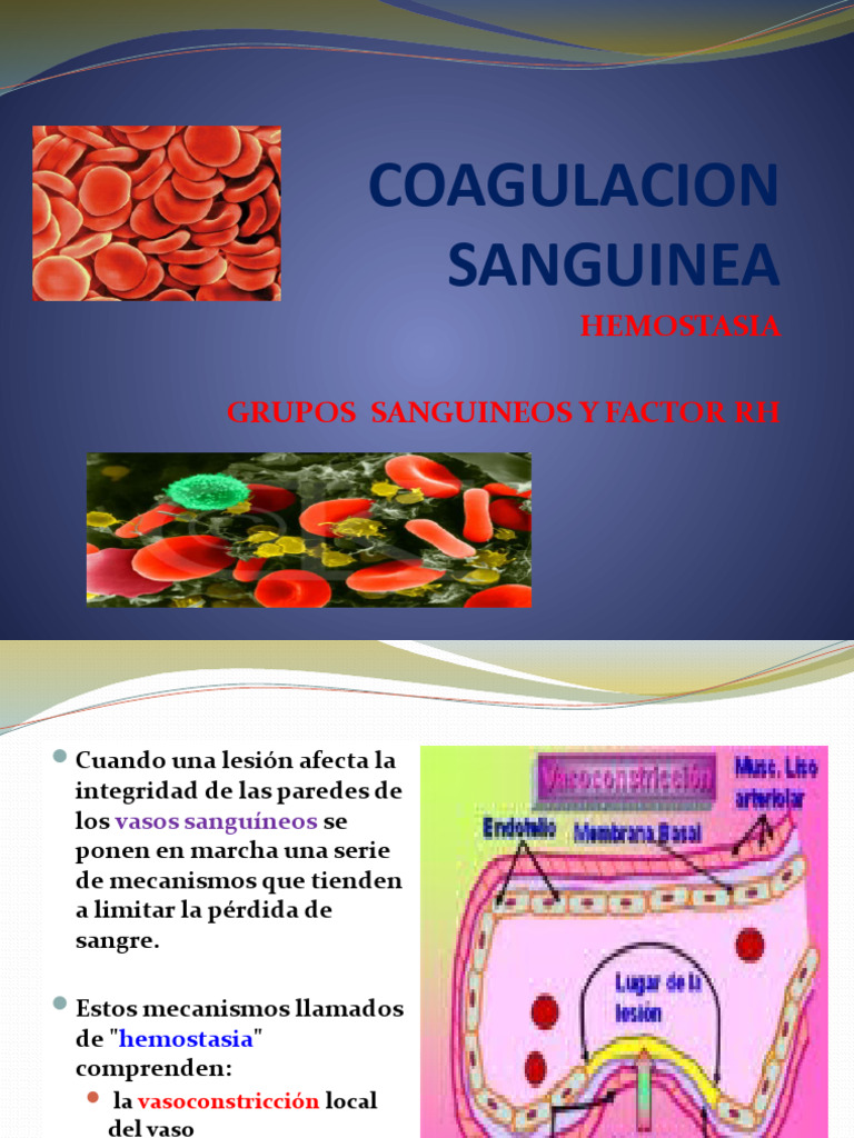 Coagulacion Sanguinea-Grupo Sanguineos 2 | PDF | Coagulación | Tipo de ...