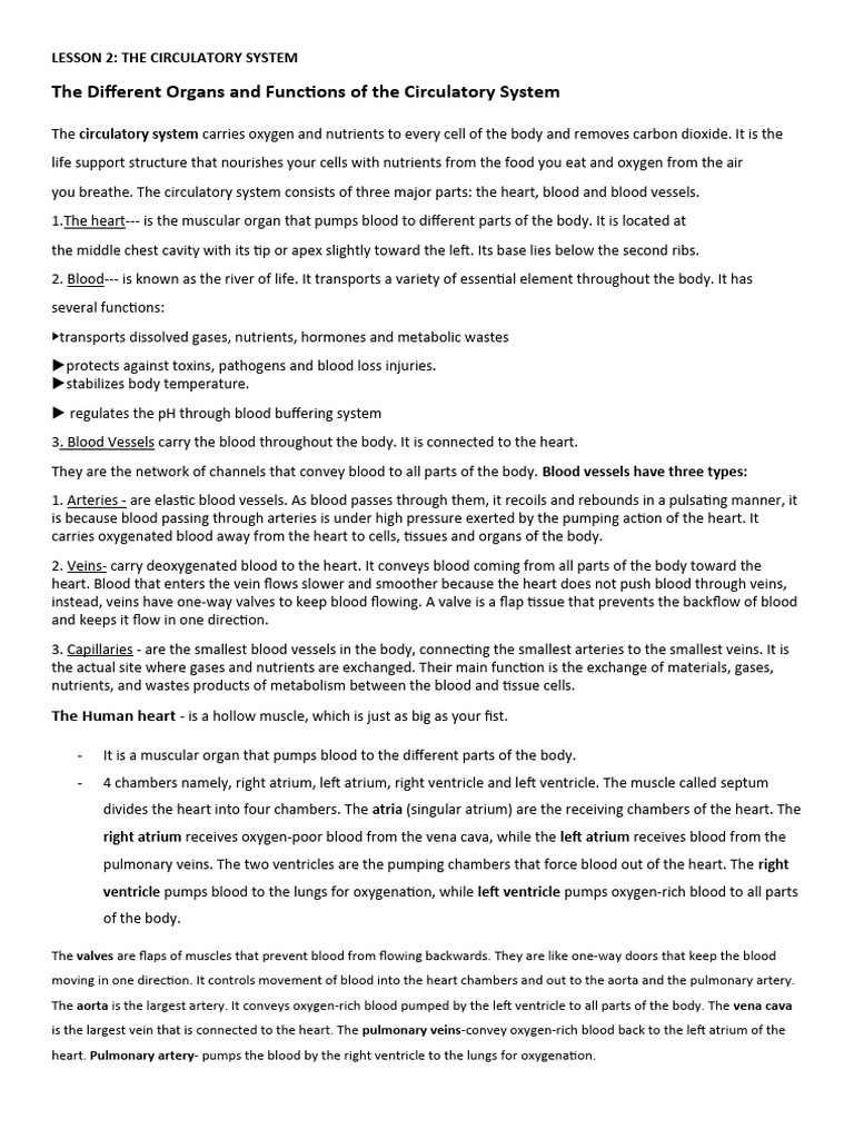 Notes in Circulatory System | PDF | Atrium (Heart) | Heart