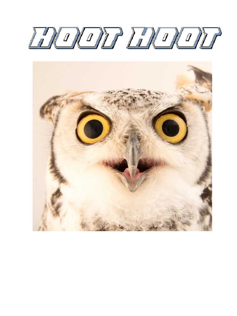 Hoot Hoot | PDF
