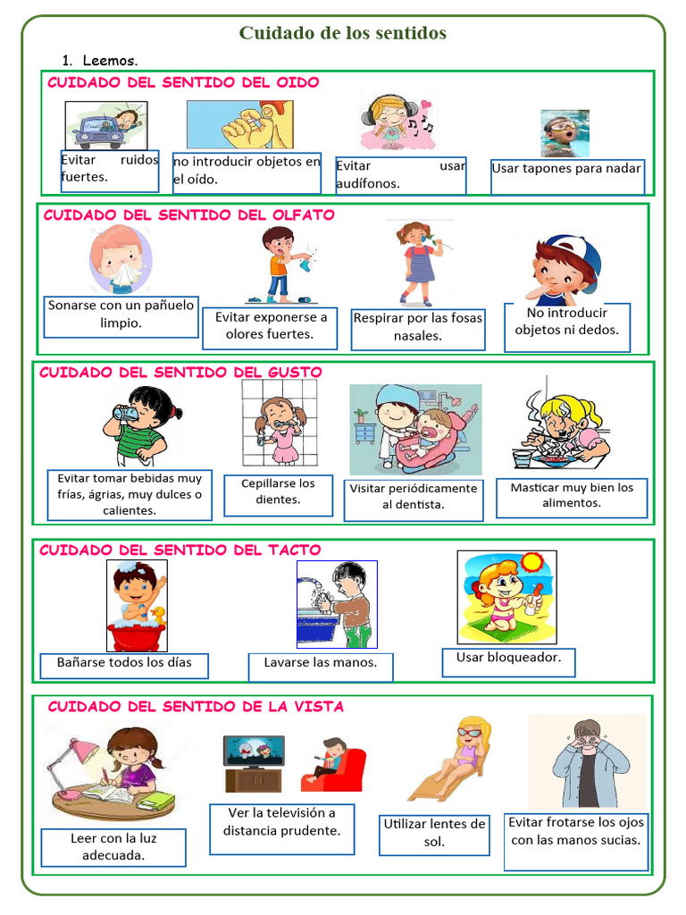 Ficha 01-04 Cuidado de Los Sentidos | PDF