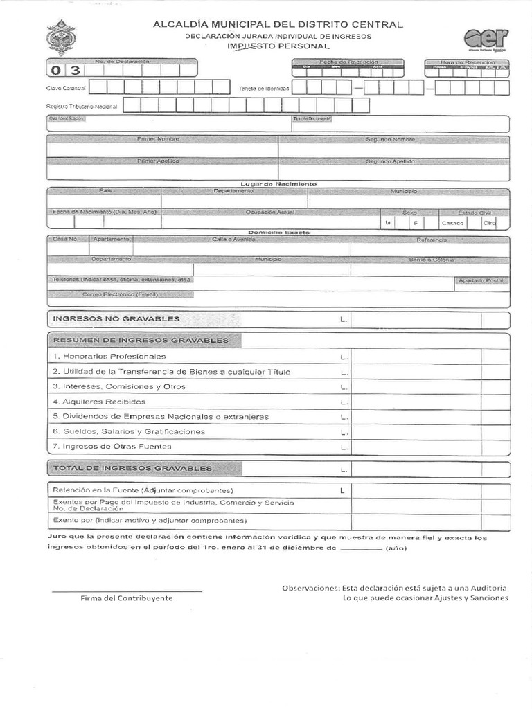 Formulario Solvencia Amdc | PDF