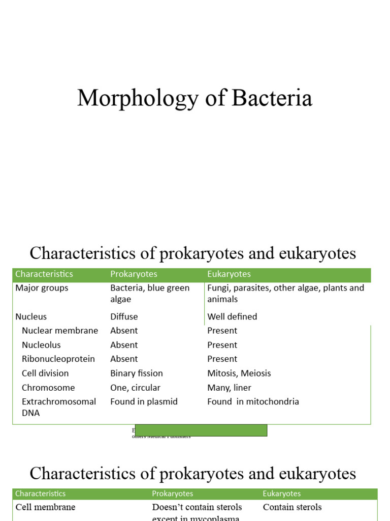 Morphology of Bacteria | PDF | Bacteria | Lipopolysaccharide