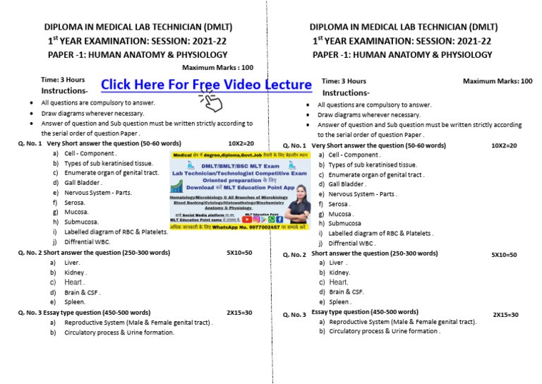 DMLT 1st Year Anatomy Question Paper | PDF | Human Body | Anatomy