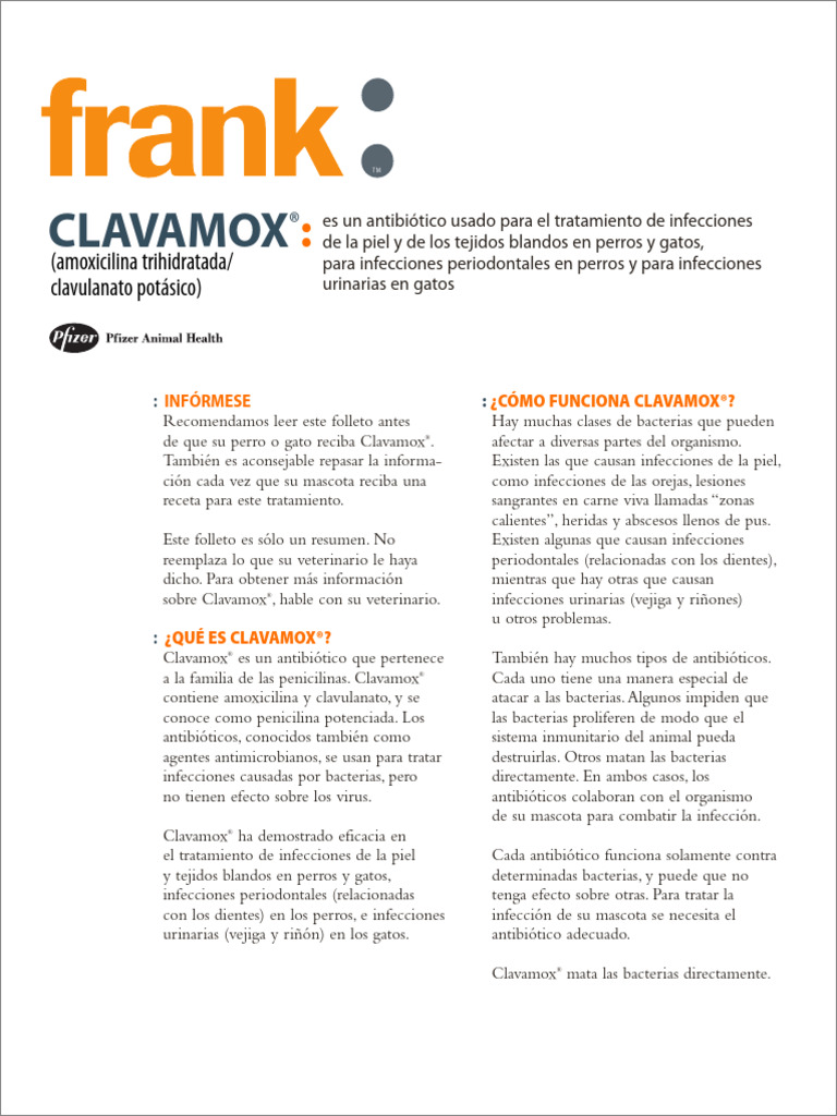 Pfizer Clavamox SP Final | PDF | Infección | Penicilina