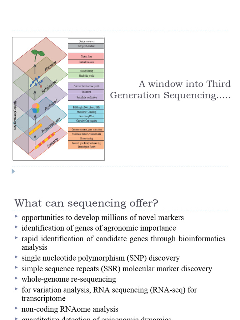 A Window Into Third Generation Sequencing | PDF | Dna Sequencing | Dna