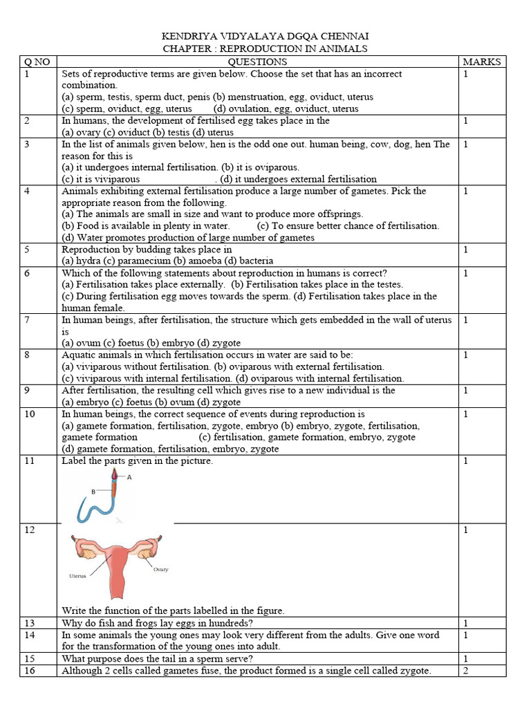 QUESTION BANK CLASS 8rEPRODUCTION IN ANIMALS | PDF | Fertilisation | Embryo