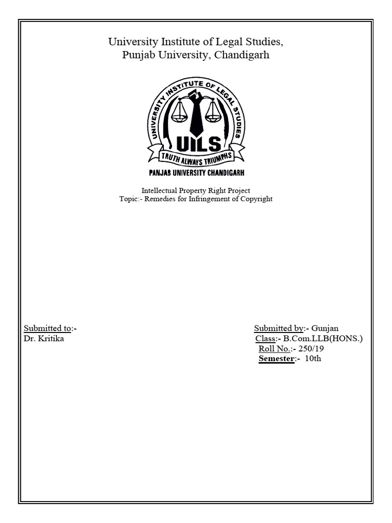 IPR Project | PDF | Copyright | Copyright Infringement
