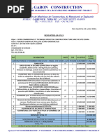 Plan de Mobilisation Chantier NLNG | PDF | Gestion de projet