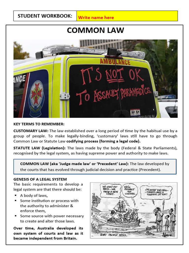 LESSON 1 - Common Law Worksheet | PDF | Common Law | Precedent
