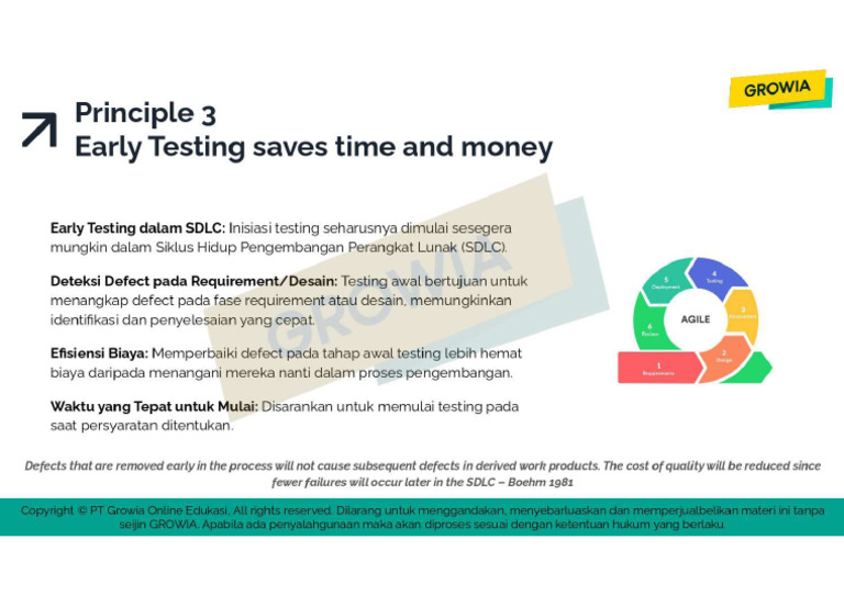 2.1.principles of Testing-1-10-5 | PDF