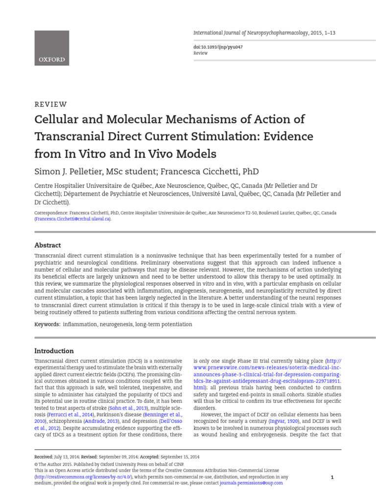 Cellular and Molecular Mechanisms of Action of TDCS | PDF | Synapse ...