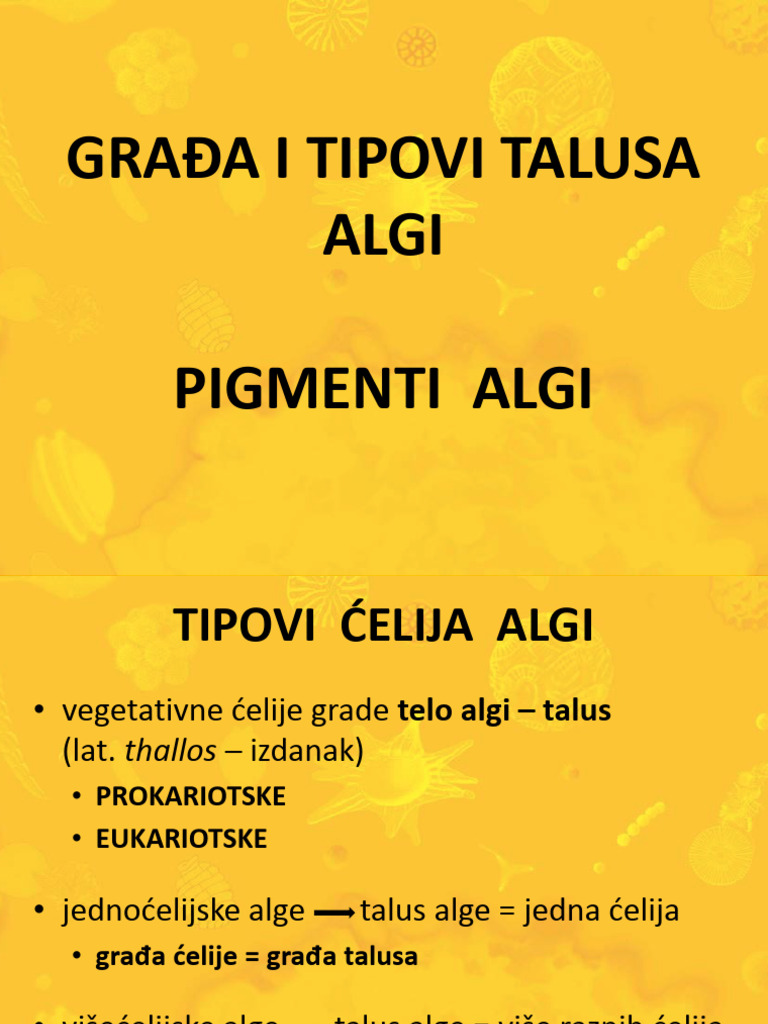 2 Predavanje Oam Tipovi Talusa Pigmenti Algi | PDF