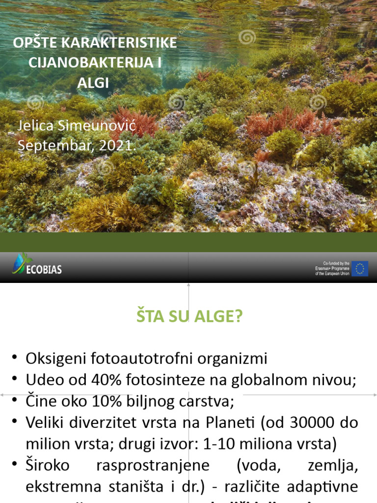 Opšte Karakteristike CB I Algi | PDF