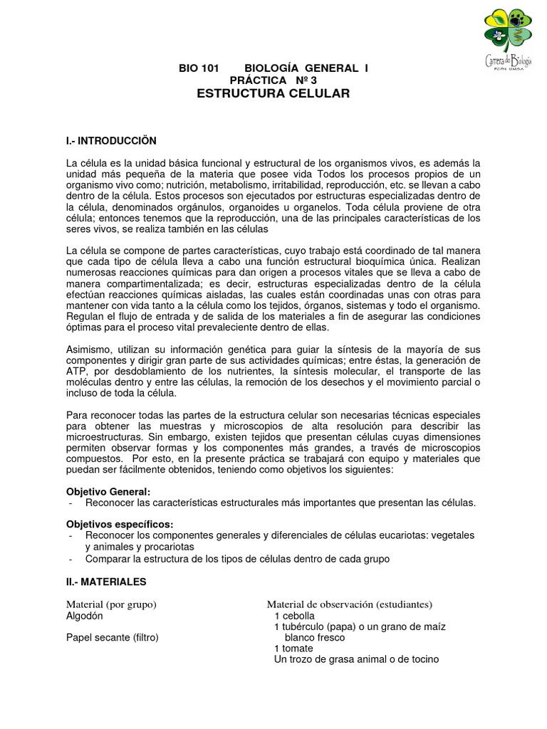 Practica 3 Estructura Celular | PDF | Biología Celular) | Organismos