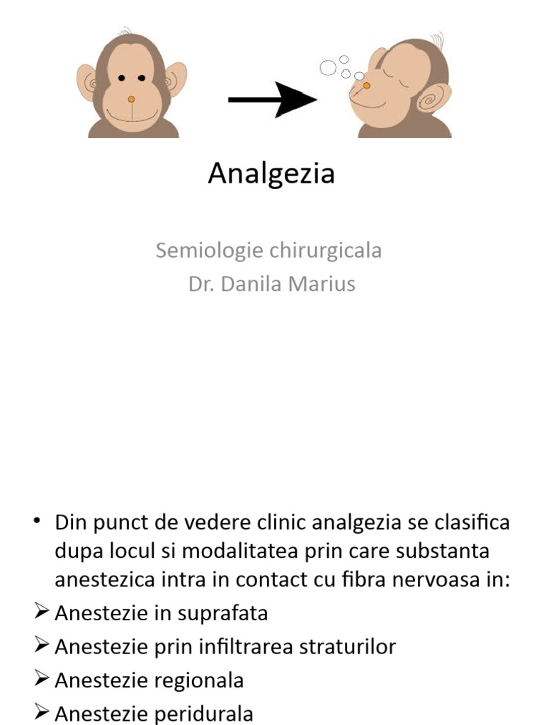 LP 4 Semio Chir | PDF