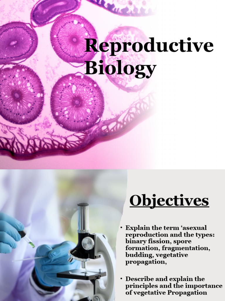 Asexual Reproduction 1 | PDF | Sexual Reproduction | Life Sciences