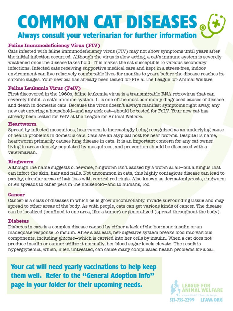 Common Cat Diseases | Download Free PDF | Infection | Virology