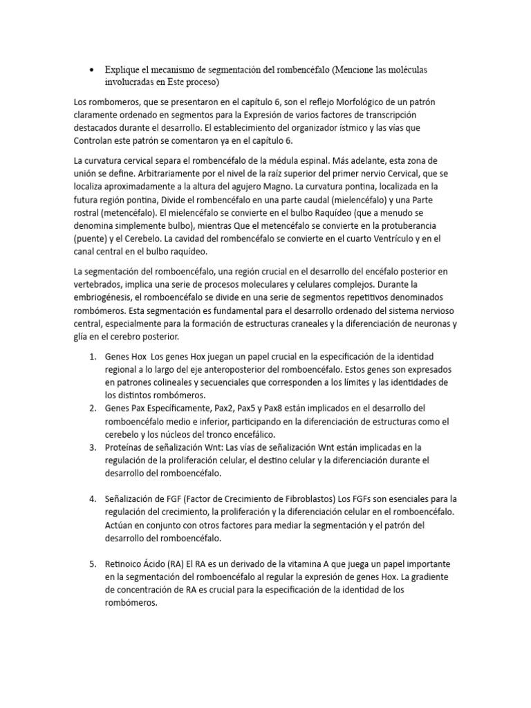 Embri | PDF | Cerebelo | Cerebro