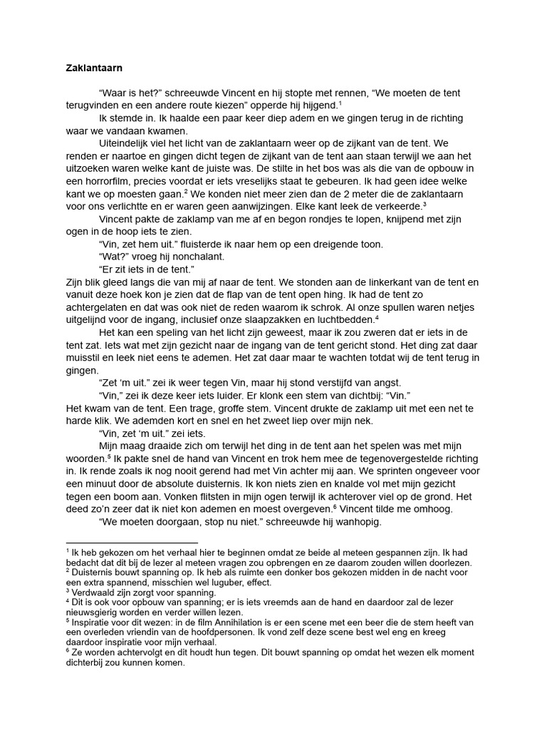 Creatief Verhaal Nederlands | PDF