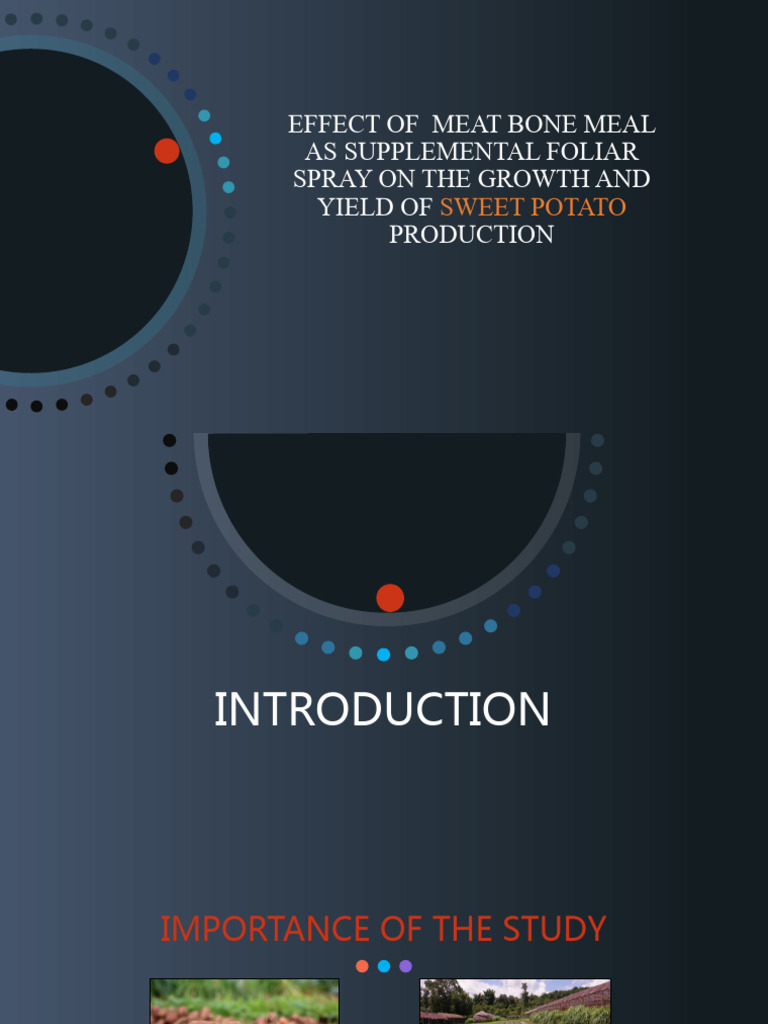 LORREA PPT | PDF | Potato | Sweet Potato