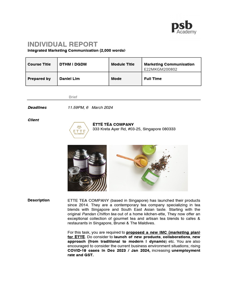 Individual Report Brief Jan 2024 | PDF | Marketing Communications ...