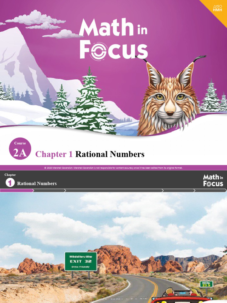 Rational Numbers: Course | PDF