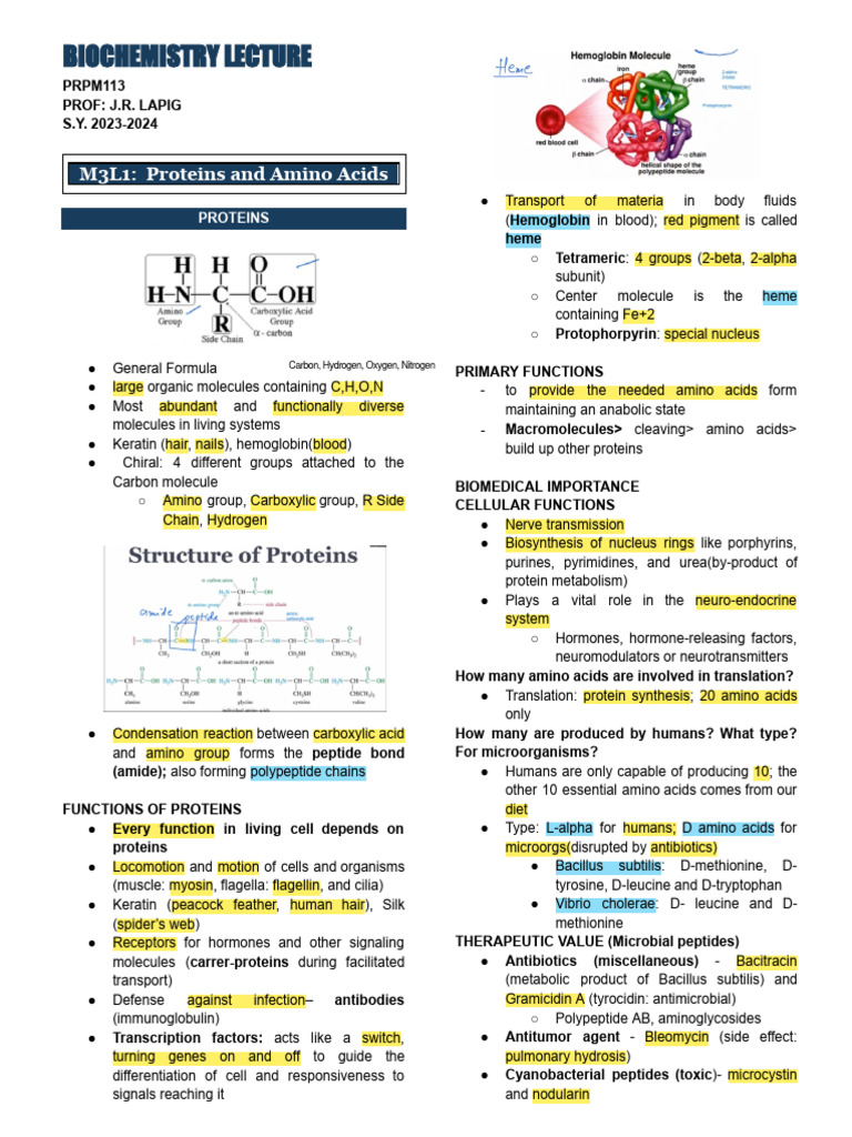 Transes - M3 Proteins - Biochem Lec | PDF | Amino Acid | Acid
