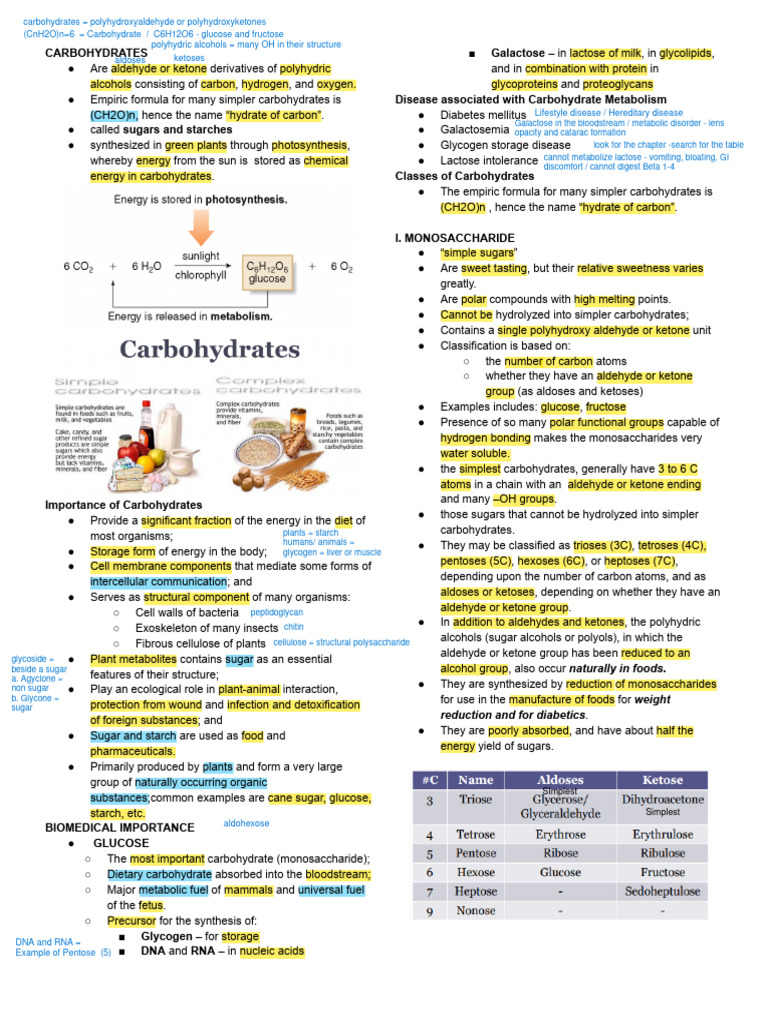 Understanding Carbohydrates and Their Roles | PDF | Carbohydrates ...