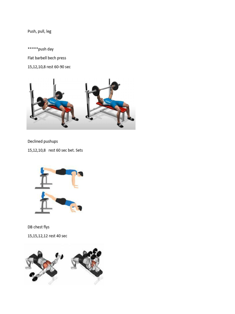 Push, Pull, Leg | PDF