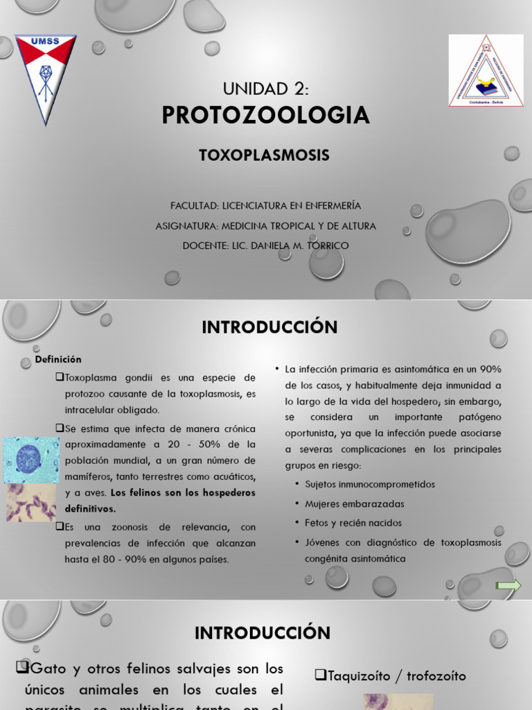 Toxoplasmosis: Ciclo, Transmisión y Prevención | PDF | Medicina | Especialidades Medicas