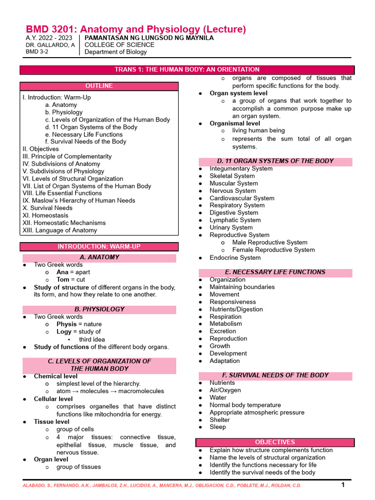 Human Body Anatomy and Physiology Overview | PDF | Human Body | Tissue ...