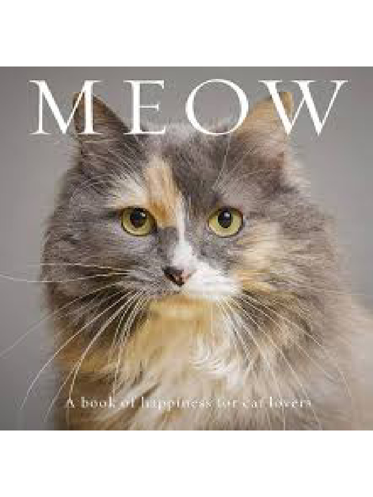 Meow | PDF