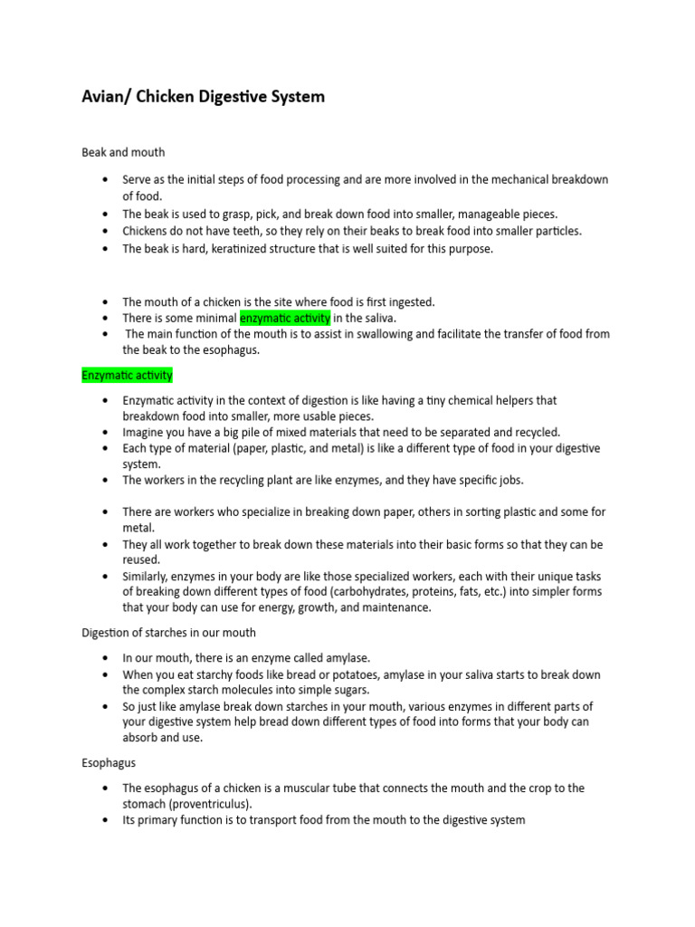 Avian Poultry Digestive System Reviewer | PDF | Digestion | Small Intestine