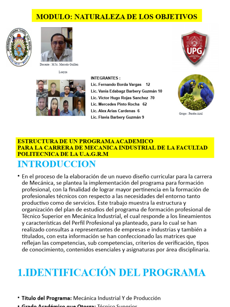 Estructura de Un Programa Academico | PDF | Plan de estudios