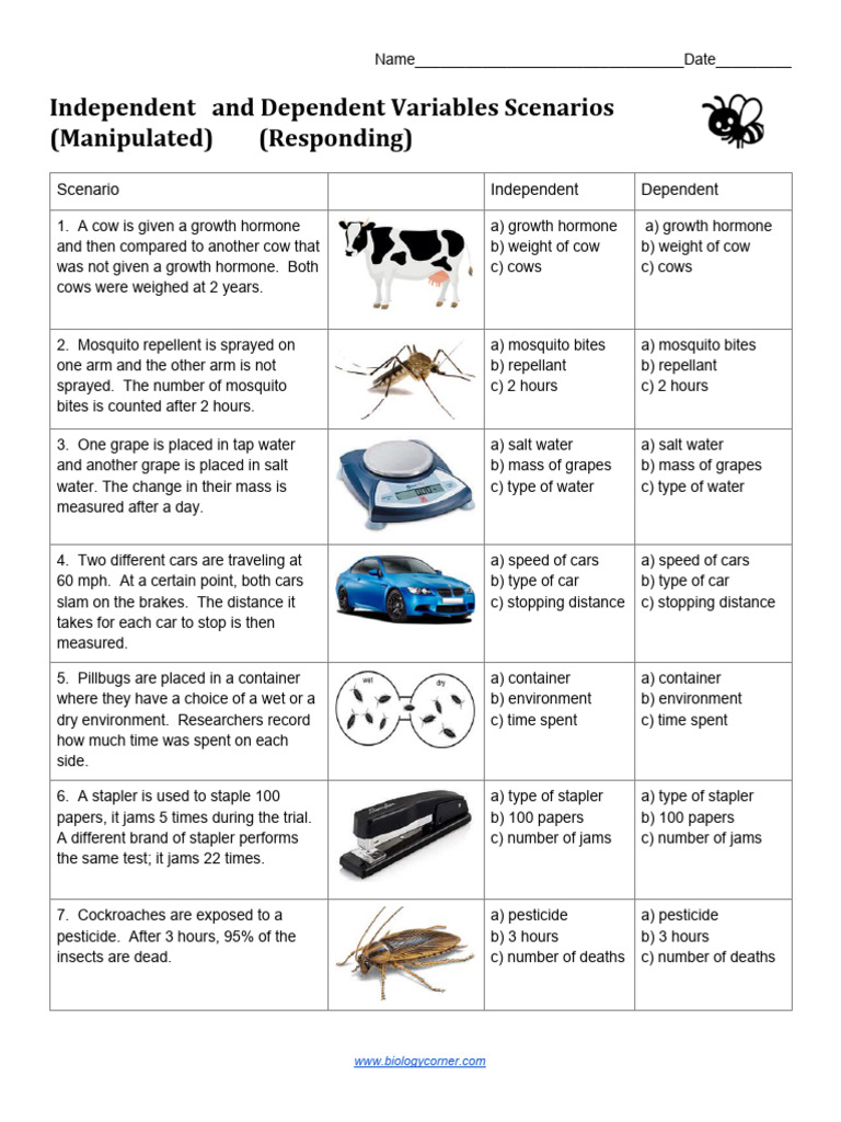 Independent and Dependent Variables Scenarios (Bee) | PDF Independent and Dependent Variables Scenarios (Bee) | PDF