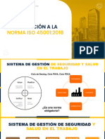 Programa Anual SST | PDF | Seguridad y salud ocupacional