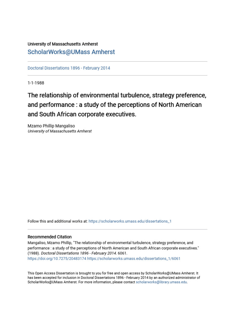 The Relationship of Environmental Turbulence Strategy Preference ...