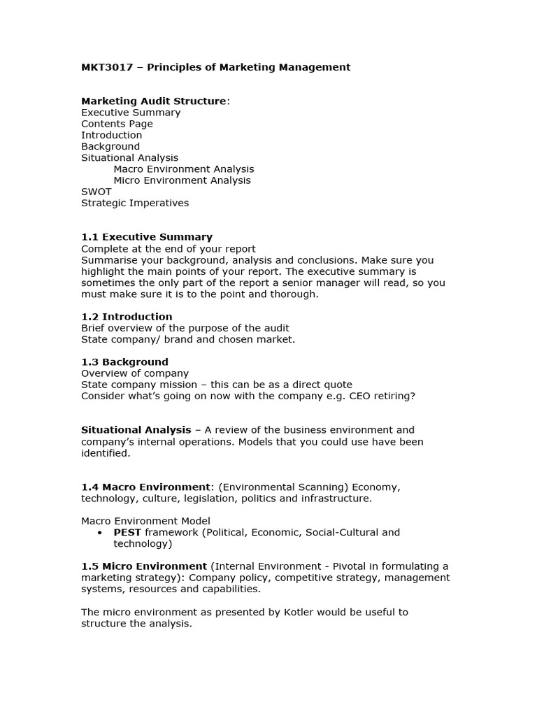Marketing Audit Structure Guide | PDF | Strategic Management | Swot ...