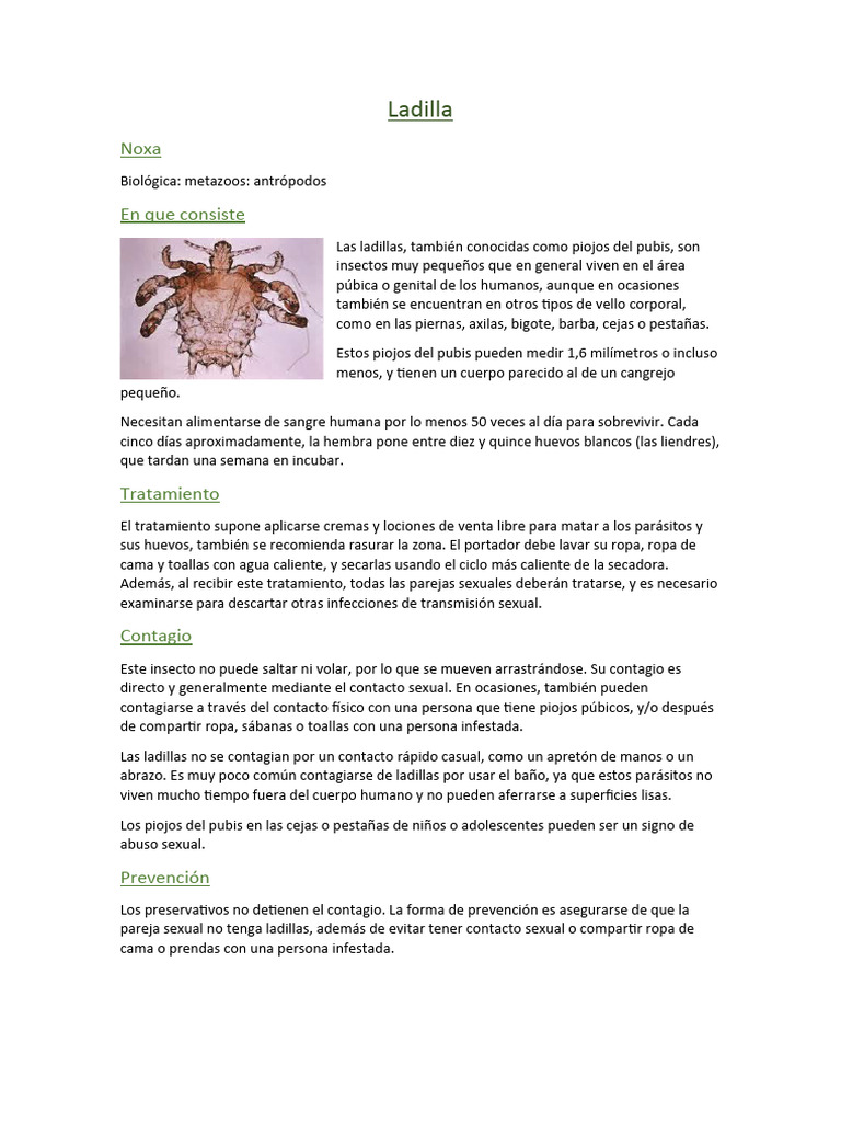 Ladilla Info | PDF | Bienestar | Ciencia y matemática