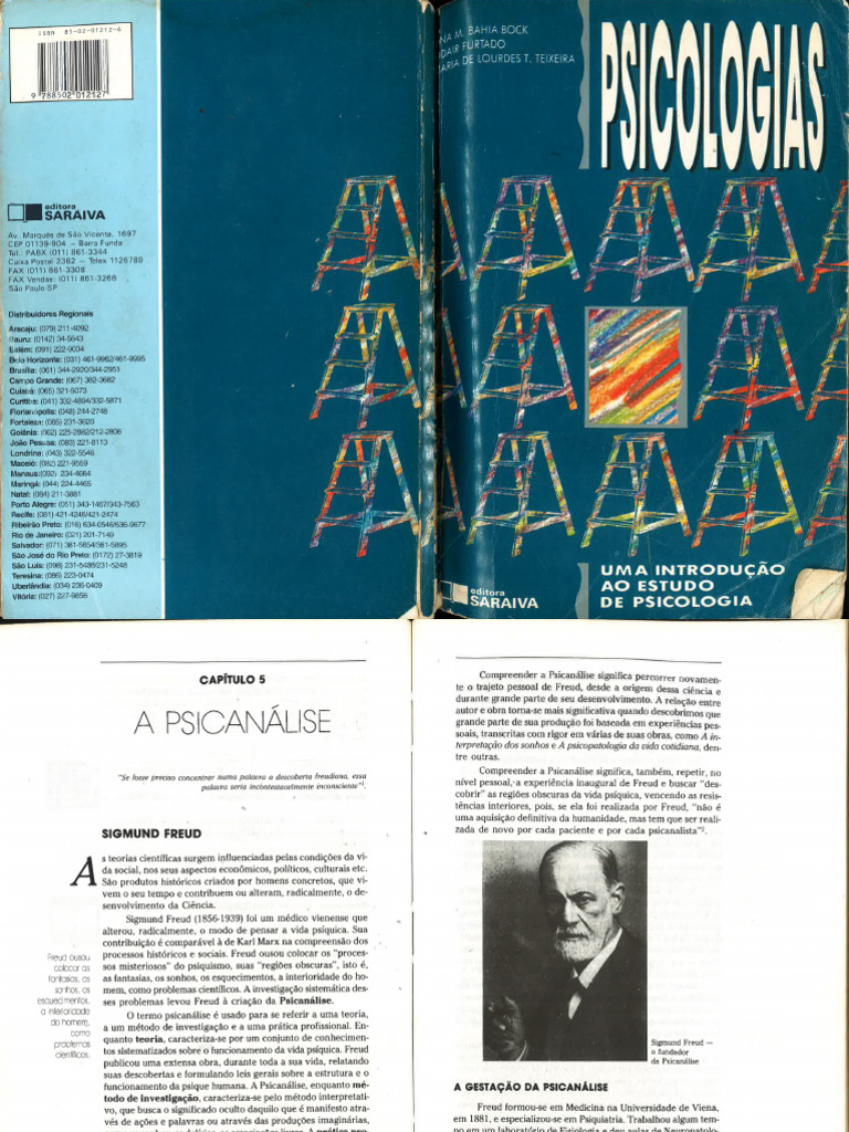 PsicanAlise Cap 6 Ana Bock | PDF