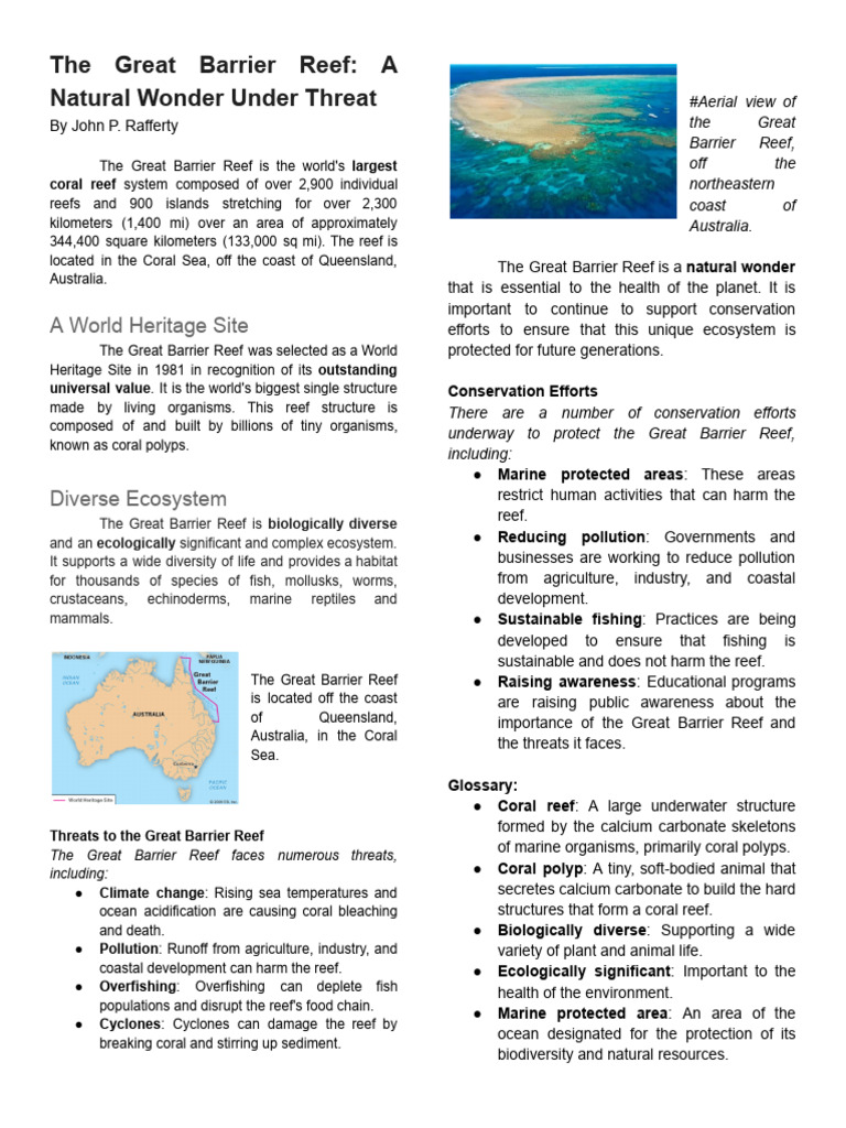 The Great Barrier Reef - A Natural Wonder Under Threat | PDF | Coral ...